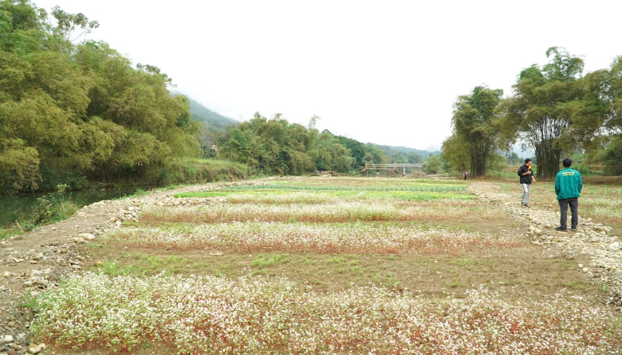 HTX Du Lịch Ban Công Pù Luông - Bá Thước - Thanh Hoá - ExoTrails: Khám phá