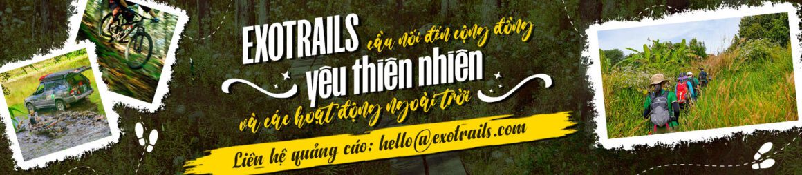 The Evolutionary Significance of Persistence Hunting: Why We Were Born ...