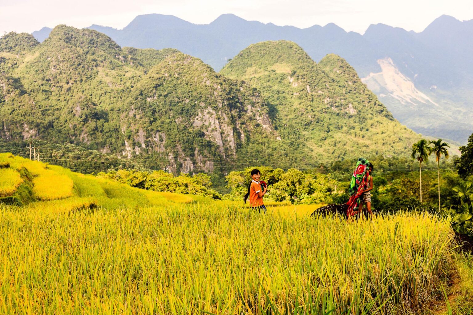 Pu Luong Nature Reserve: Your Ultimate Guide to Vietnam's Hidden Paradise
