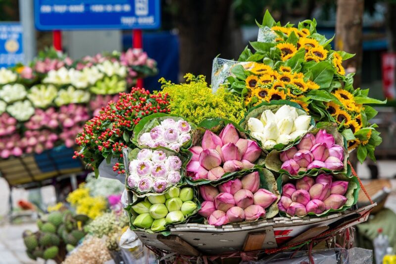 The Vietnamese Lotus Flower: Why It's a Symbol of Purity