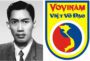 A Guide to Vietnamese Martial Arts: Vovinam & Binh Dinh