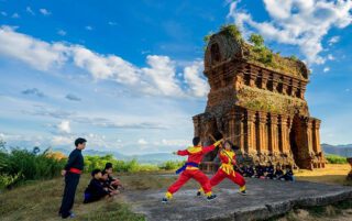 A Guide to Vietnamese Martial Arts: Vovinam & Binh Dinh