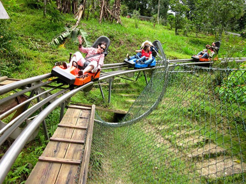 A Parent's Guide: 5 Fun Things to Do in Da Lat with Kids