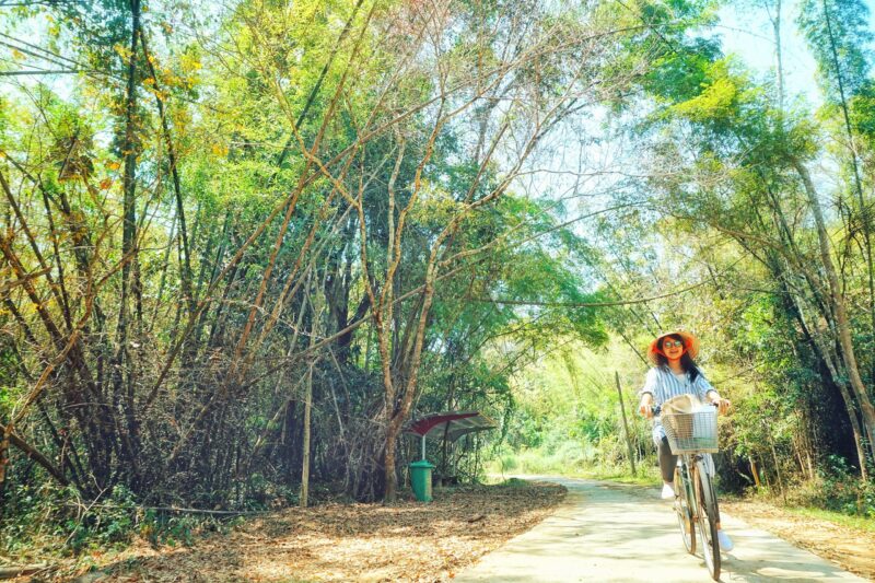 The Power of Healing Travel for Women - Rewilding Ourselves