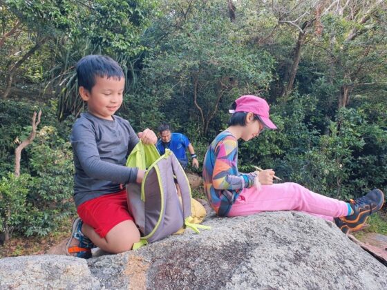 From Playgrounds to Pine Forests: Your Guide to Finding Kid-Friendly ...