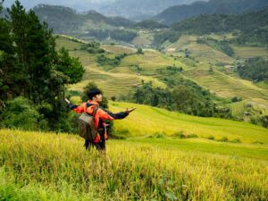 The Evolutionary Significance of Persistence Hunting: Why We Were Born ...