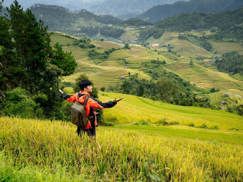 The Evolutionary Significance of Persistence Hunting: Why We Were Born ...