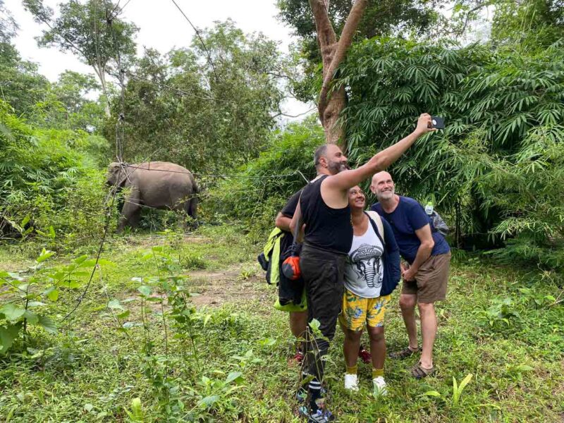 Shadows in the Highlands: A Guide to the Yok Đôn Night Safari