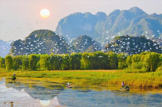 Sustainable & Scenic: The Limestone Greenhouses Driving Ninh Binh Tourism