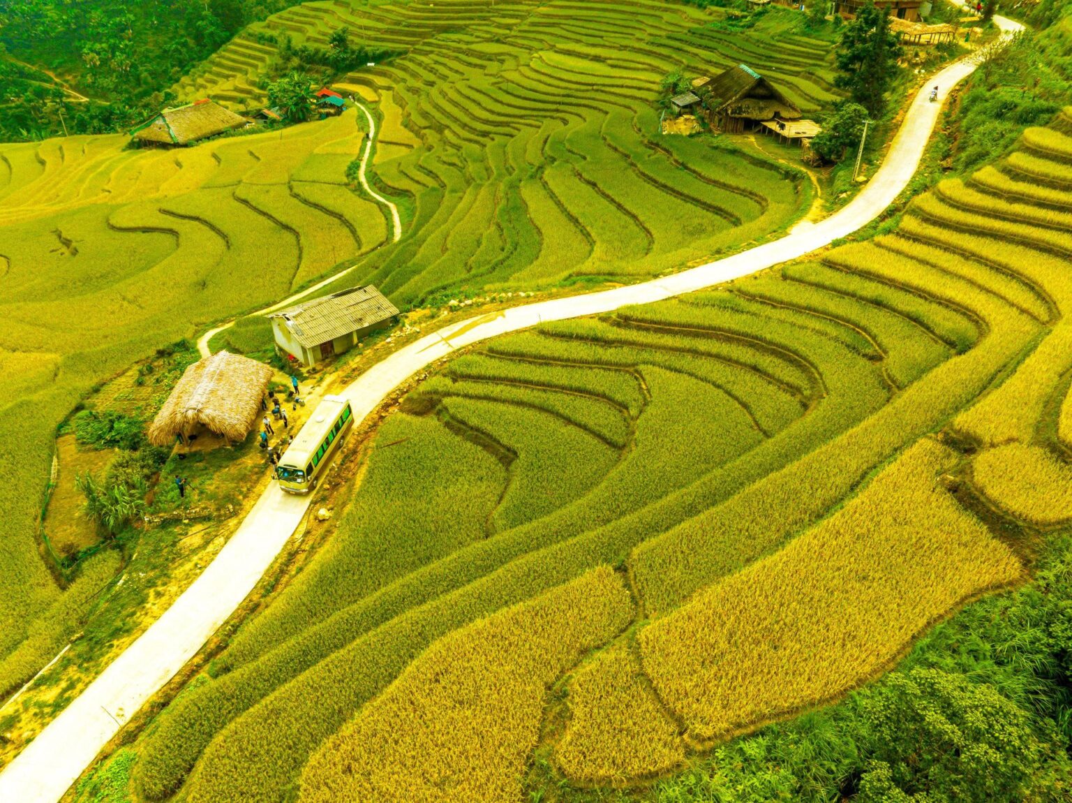 Valleys of Gold: The Best Rice Terraces in Vietnam That Most Travelers Miss