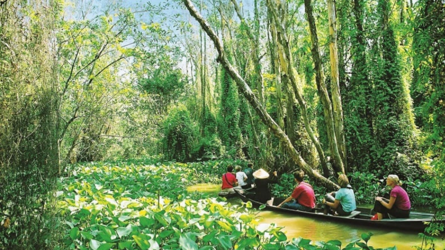 The Future of Exploration: Embracing the Green Travel Movement 2026 in ...