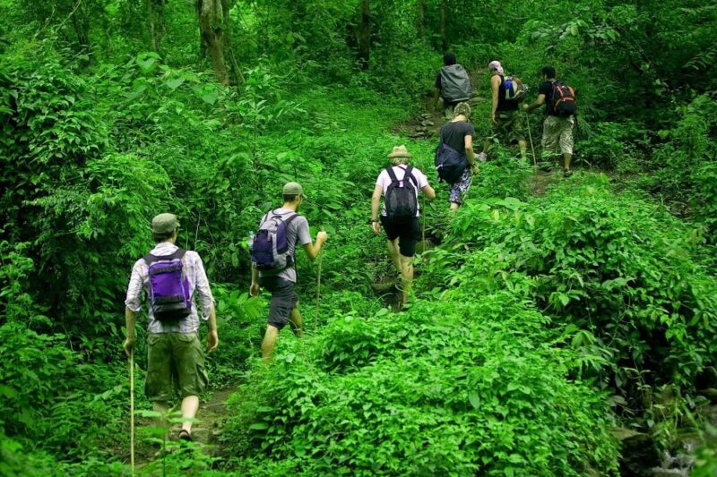 Traditional Wisdom and Modern Trekking Gear for Vietnam: A Balanced Guide